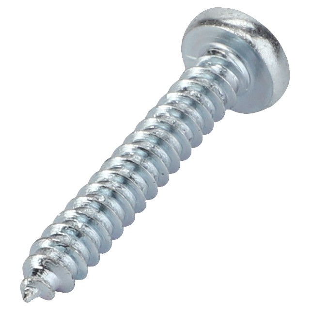 SELF TAP SCREWS 3019002X1 | AGCO Parts