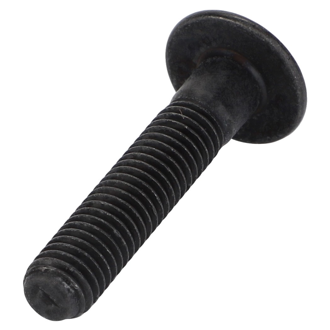 TORX HEAD SCREW ACW8111870 | AGCO Parts