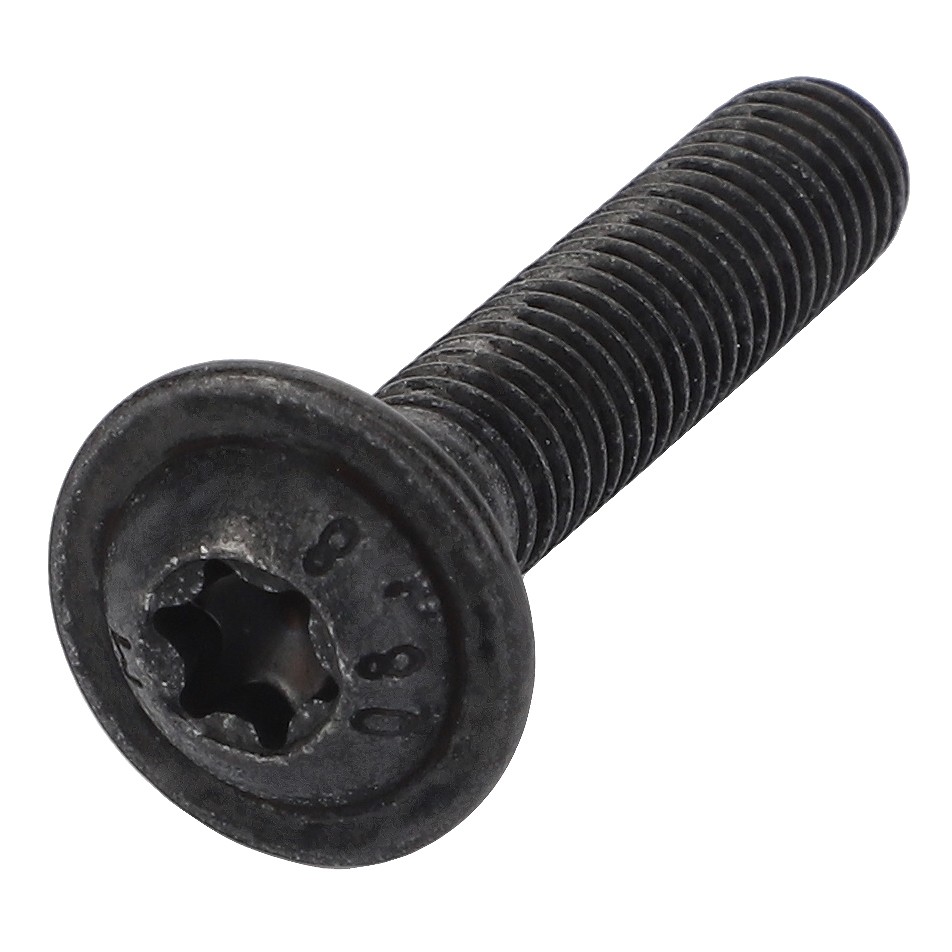 TORX HEAD SCREW | AGCO Parts