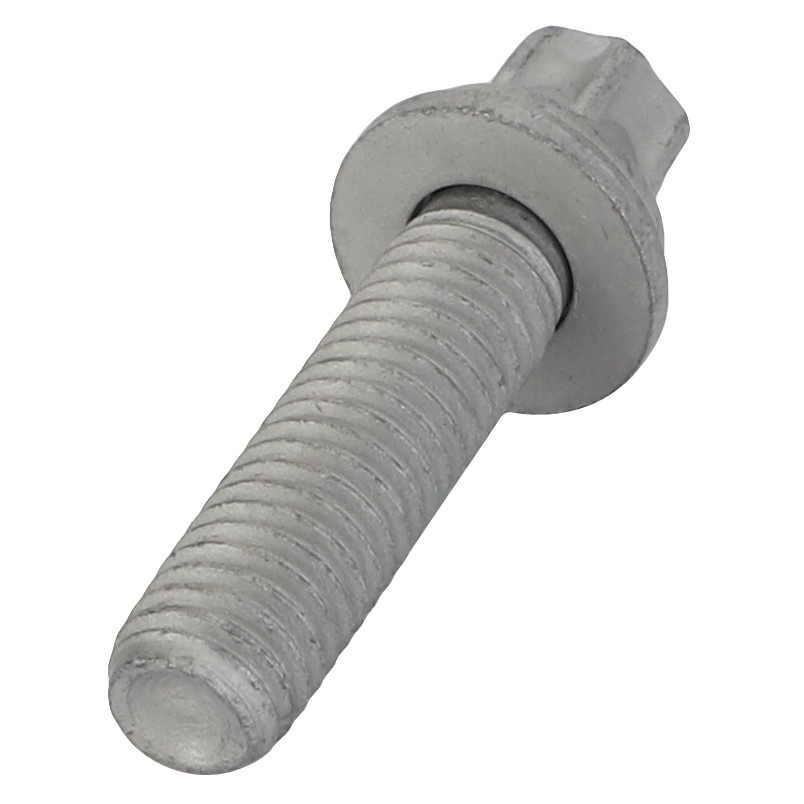 TORX SCREW F119200210260 | AGCO Parts