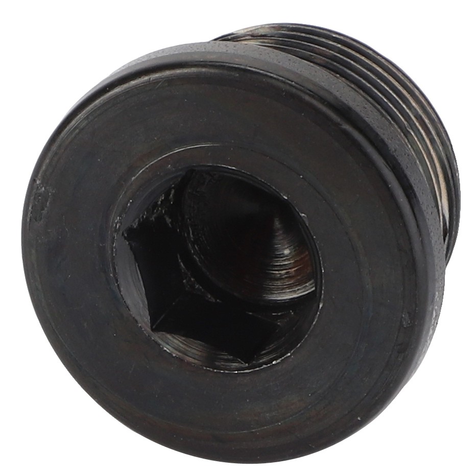 PLUG SCREW | AGCO Parts