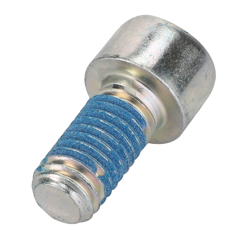 SOCKET HEAD BOLT FEL126373 | AGCO Parts