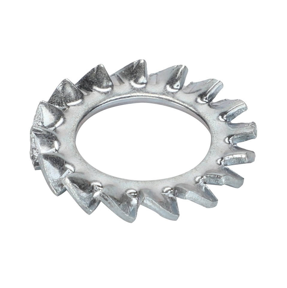 TOOTH WASHER | AGCO Parts