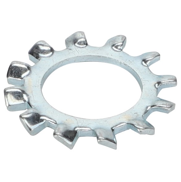 TOOTH WASHER | AGCO UKB2B2C Site
