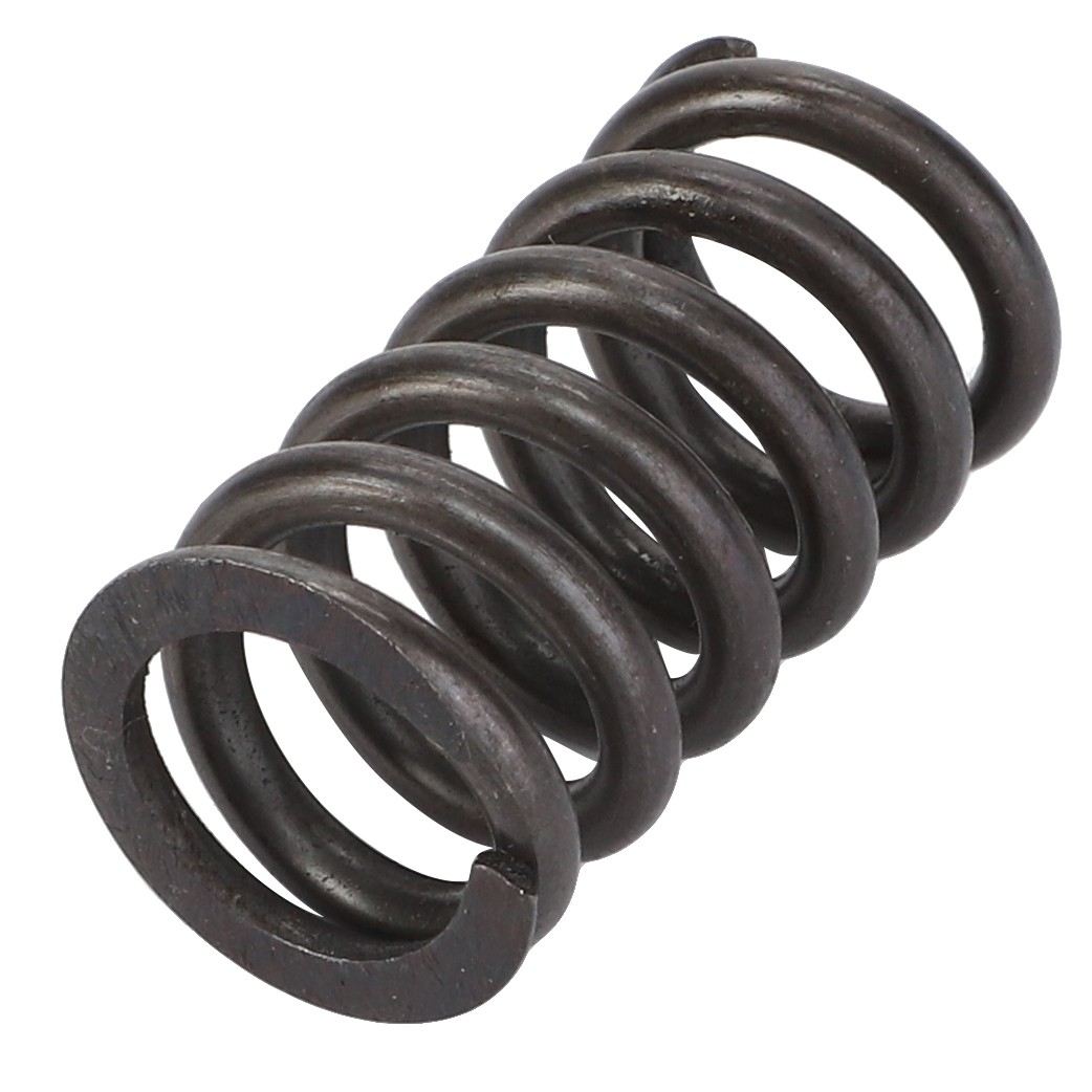 SPRING | AGCO Parts