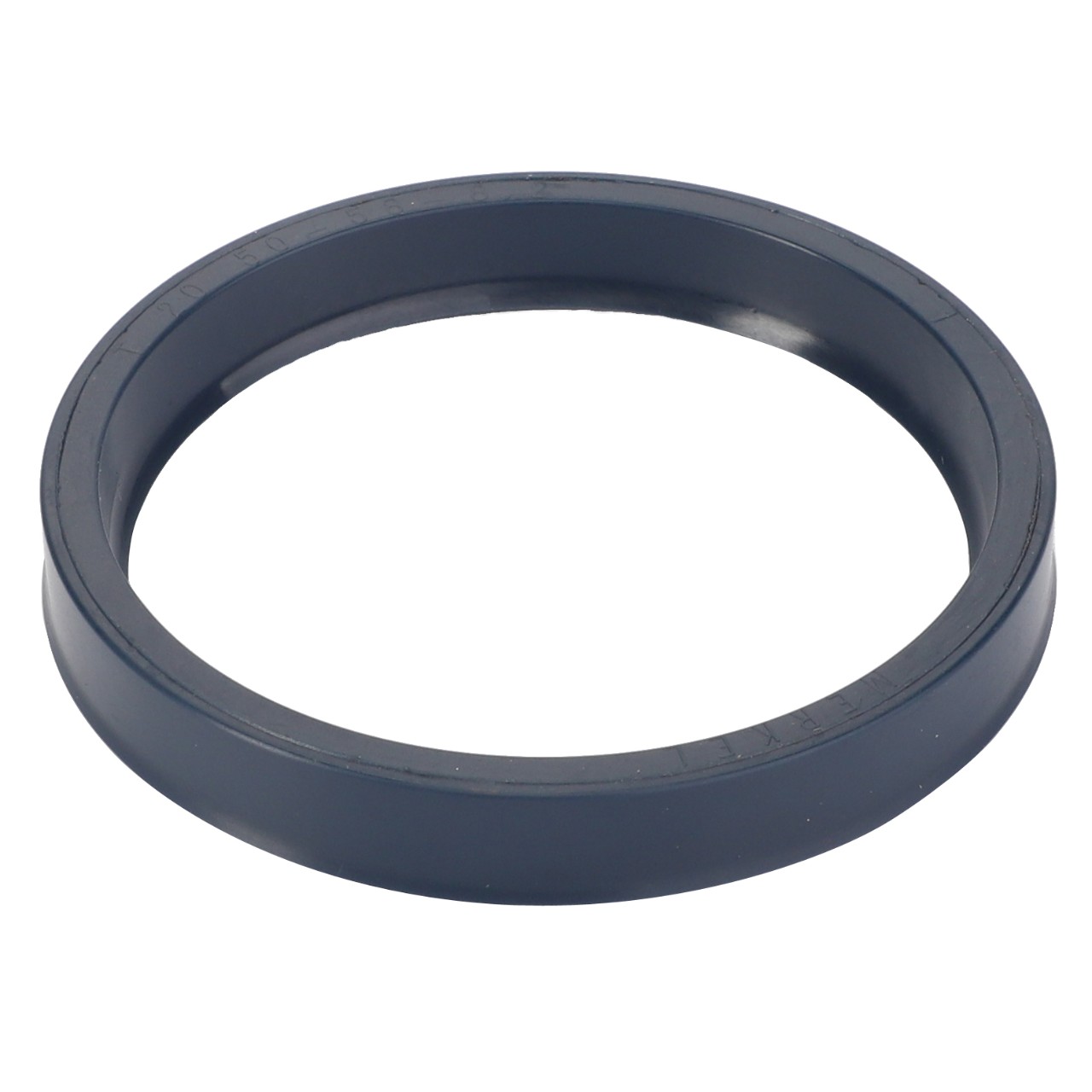 GROOVED RING | AGCO Parts