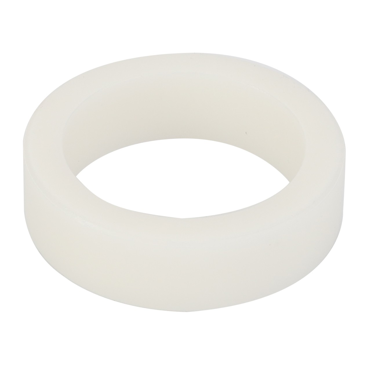 GUIDE RING | AGCO Parts