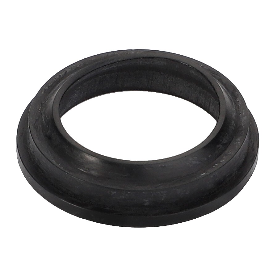 SCRAPER RING F916961022010 | AGCO Parts