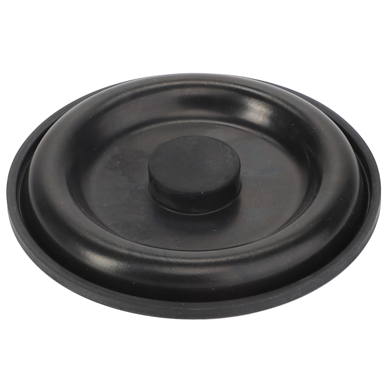 DIAPHRAGM 4225000M1 | AGCO Parts