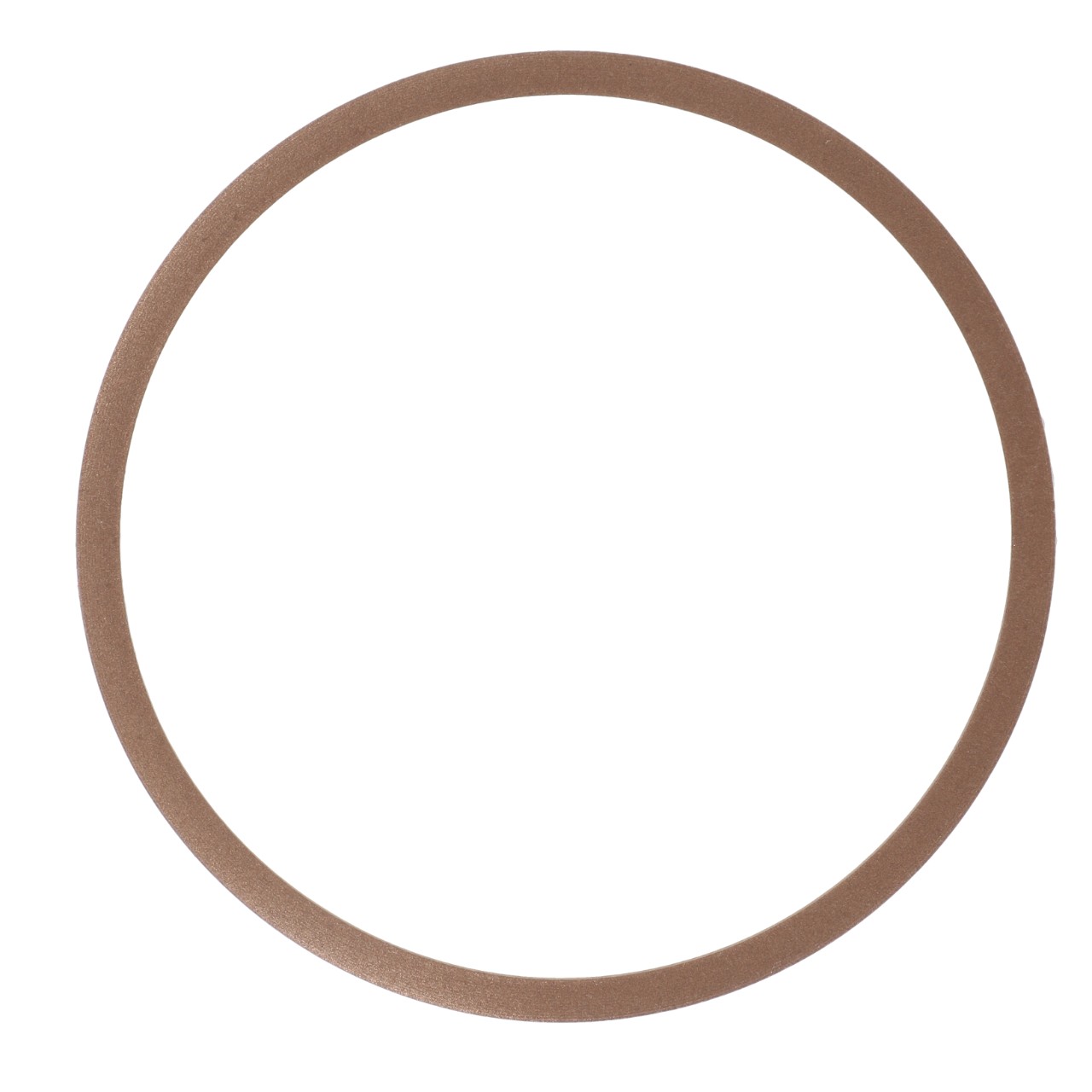 SUPPORTING RING | AGCO Parts
