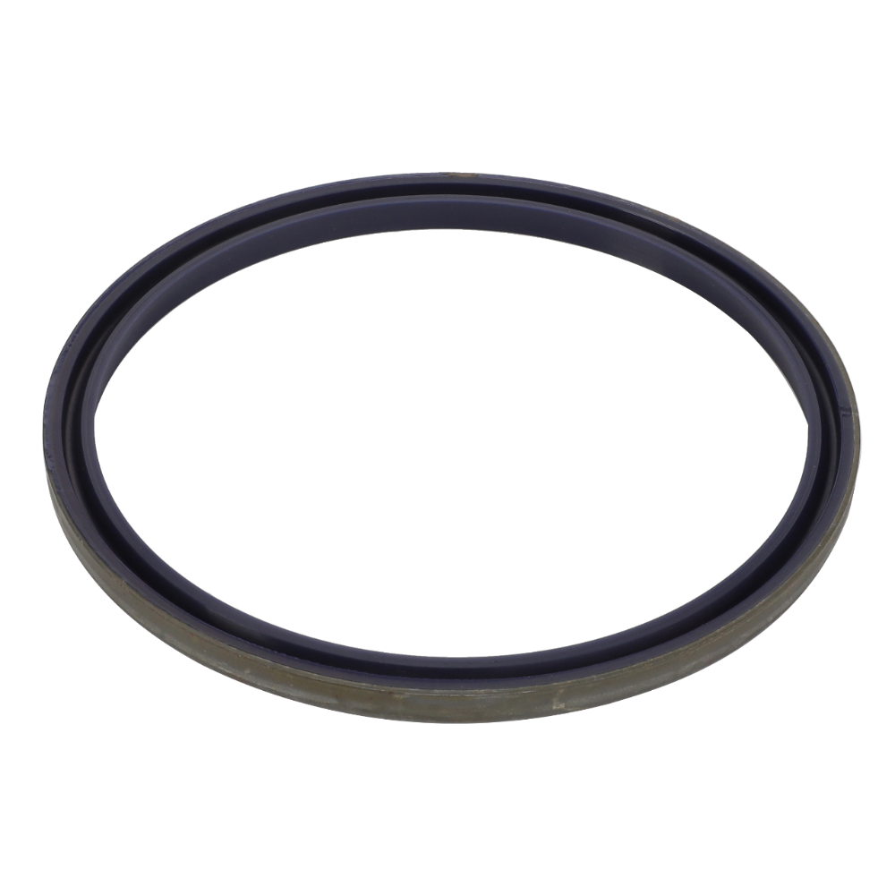 LIP SEAL RING | AGCO Parts