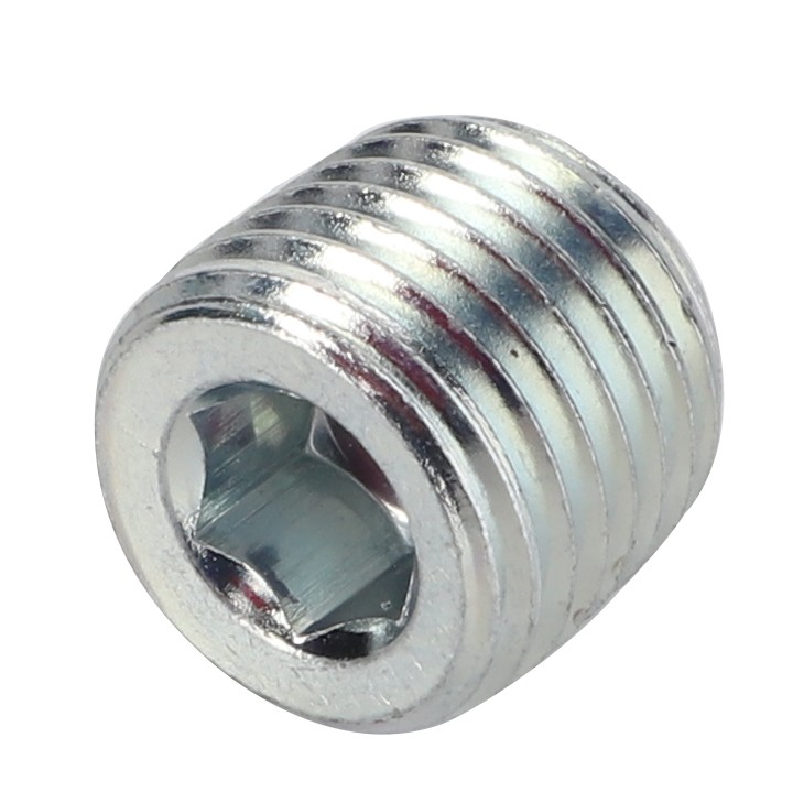 SOCKET HEAD PLUG Y746578 | AGCO Parts