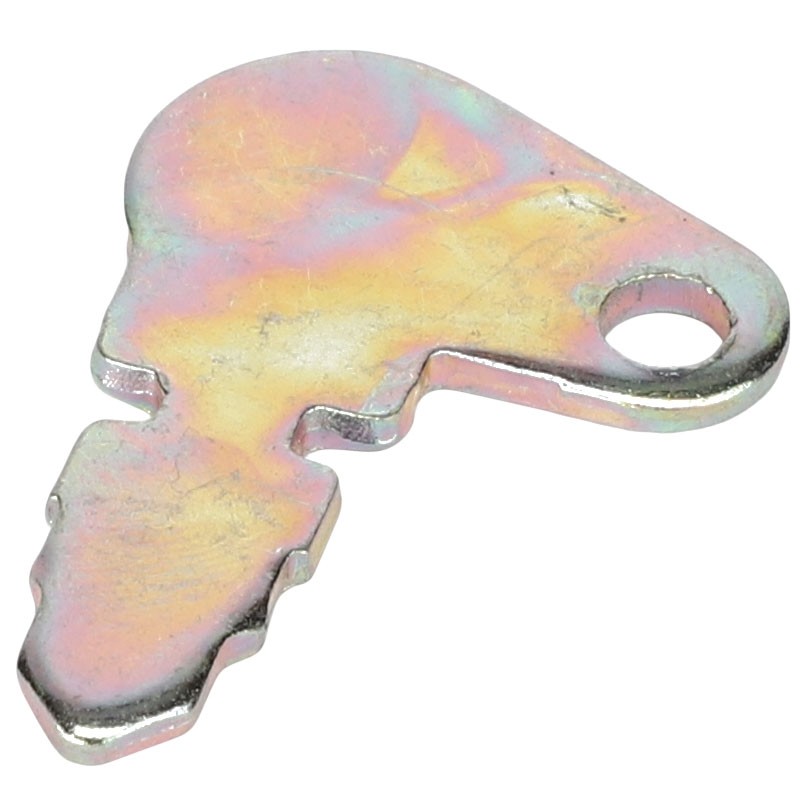 KEY 192922V1 | AGCO Parts