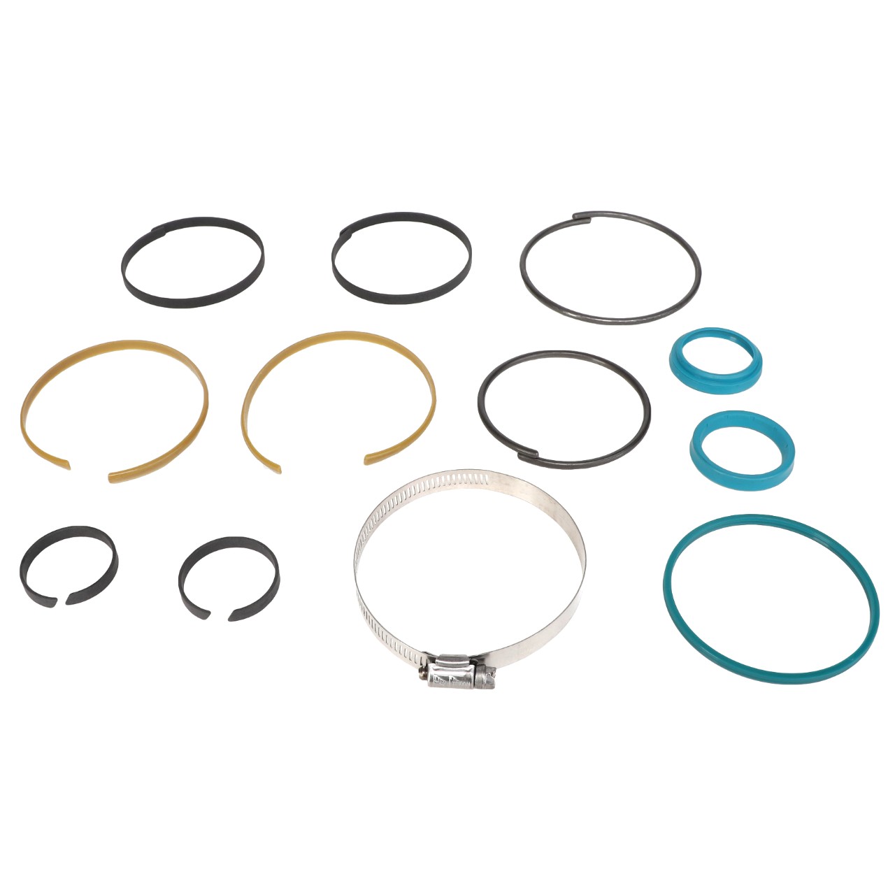 Seal Kit | AGCO Parts