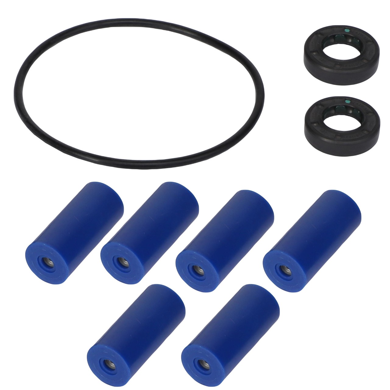 Roller Pumo Repair Kit, 6500 Series AG000499 | AGCO Parts
