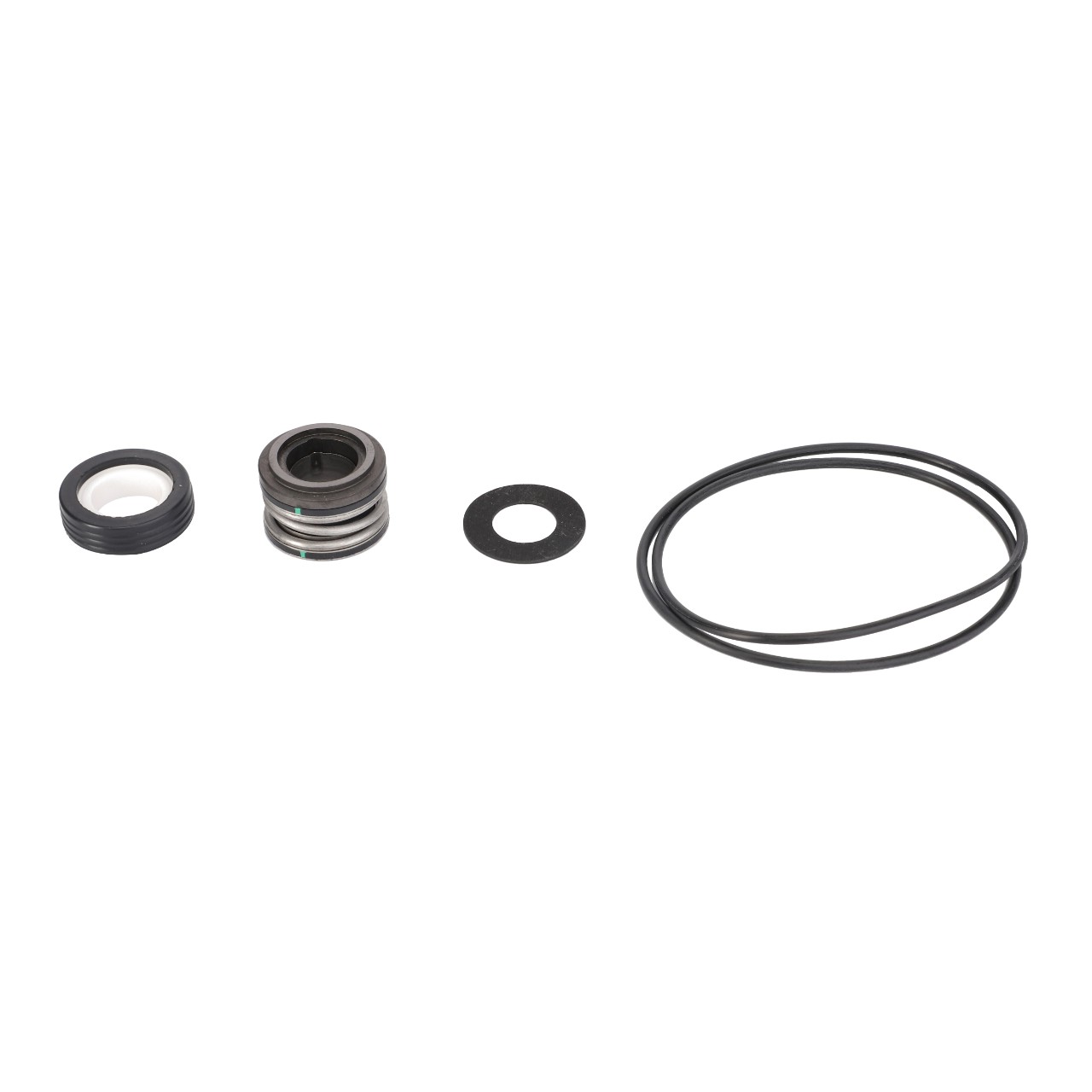 Repair Kit, Centrifugal Pump AG055091 | AGCO Parts