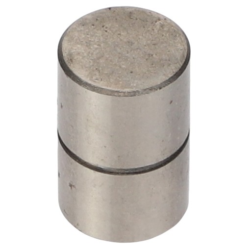 PLUNGER | AGCO Parts