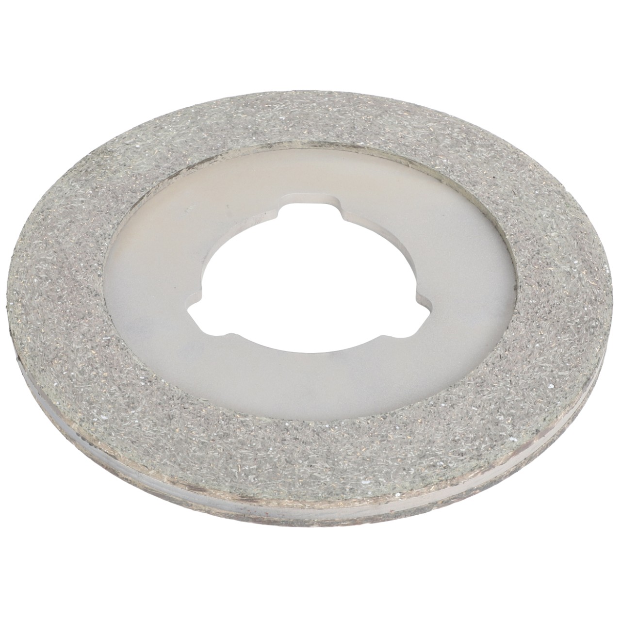 Disc, Friction 700719458 | AGCO Parts