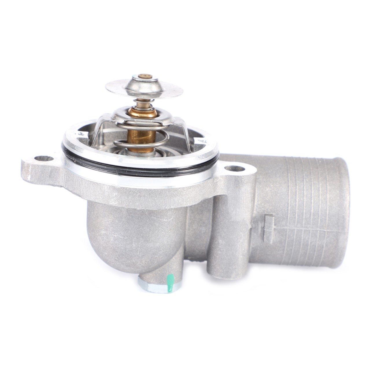Thermostat, With Housing | AGCO Parts