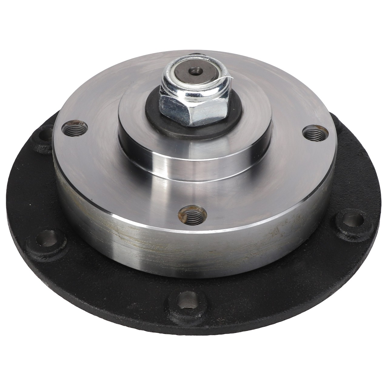 SPINDLE 700719598 | AGCO Parts