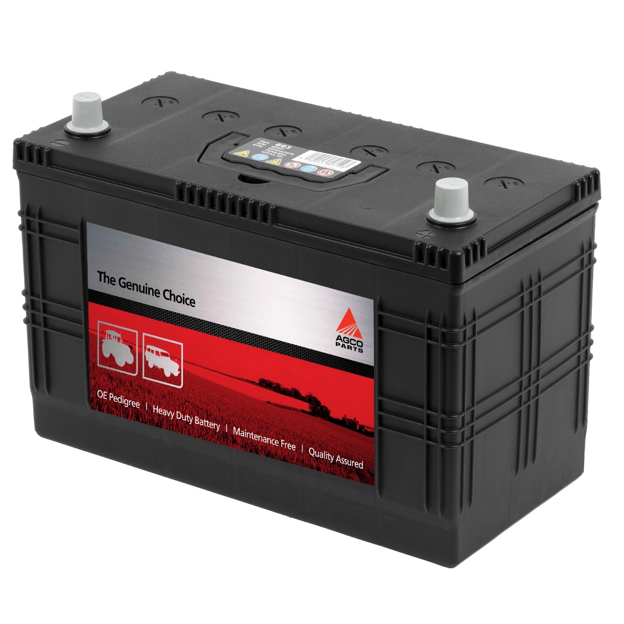 AGCO Parts Battery 3931020M1 | AGCO Parts