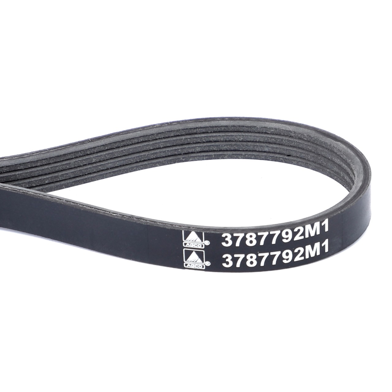 Serpentine Belt, PK4 Profile 3787792M1 | AGCO Parts