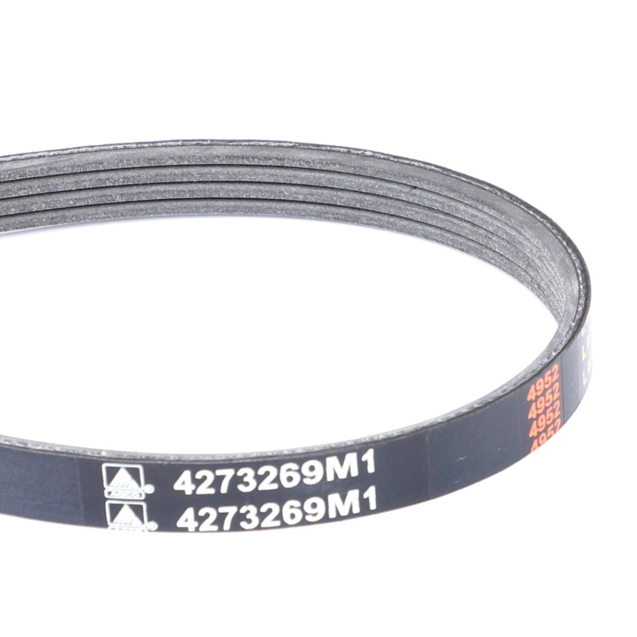 Serpentine Belt, PK4 Profile 4273269M1 | AGCO Parts