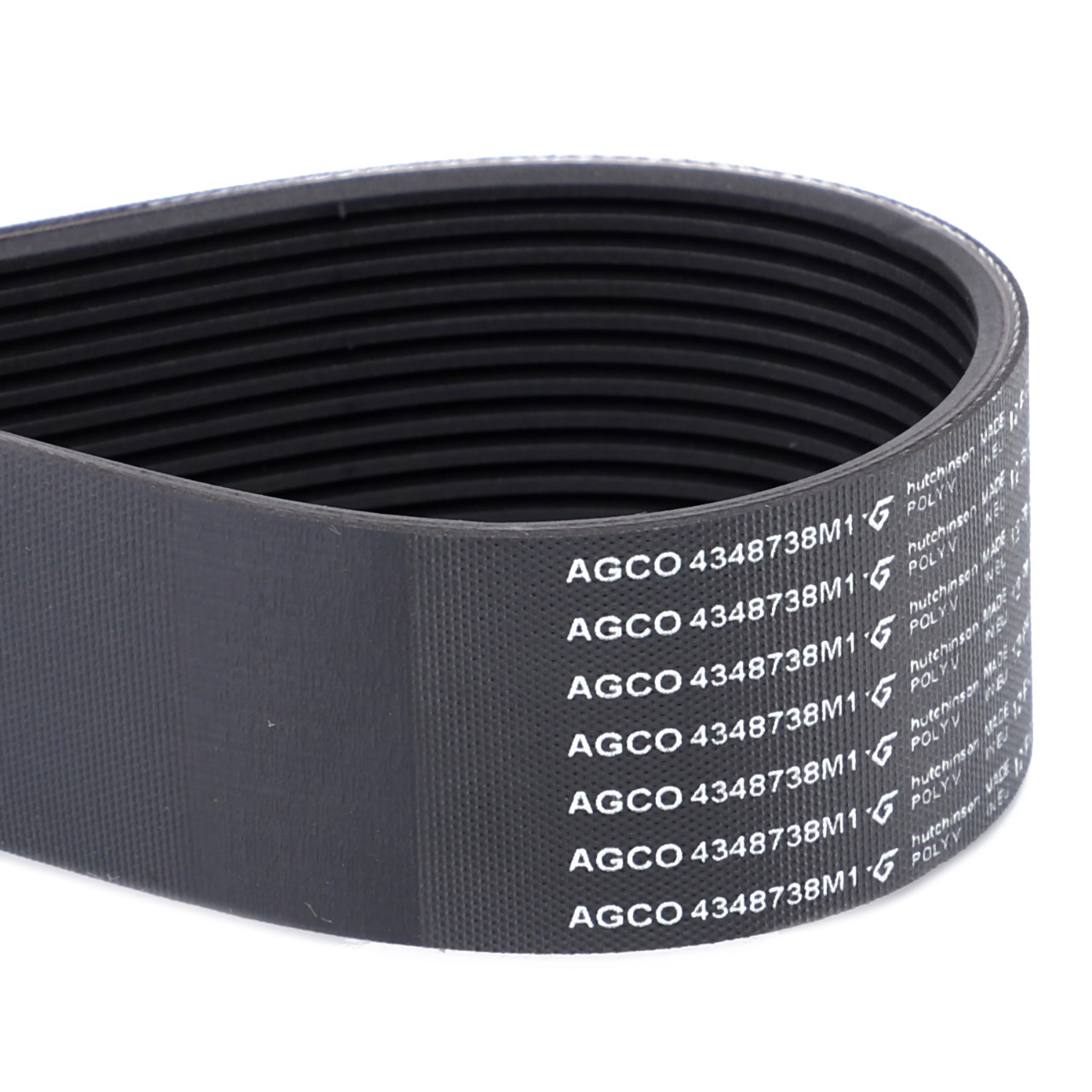 Serpentine Belt 4348738M1 | AGCO Parts