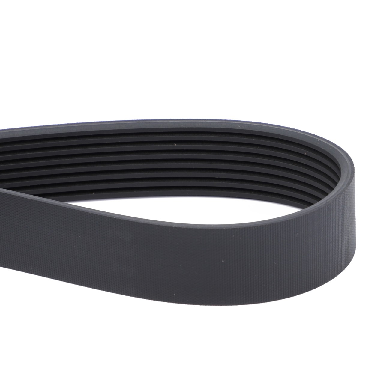 Serpentine Belt, PK8 Profile 568457D1 | AGCO Parts