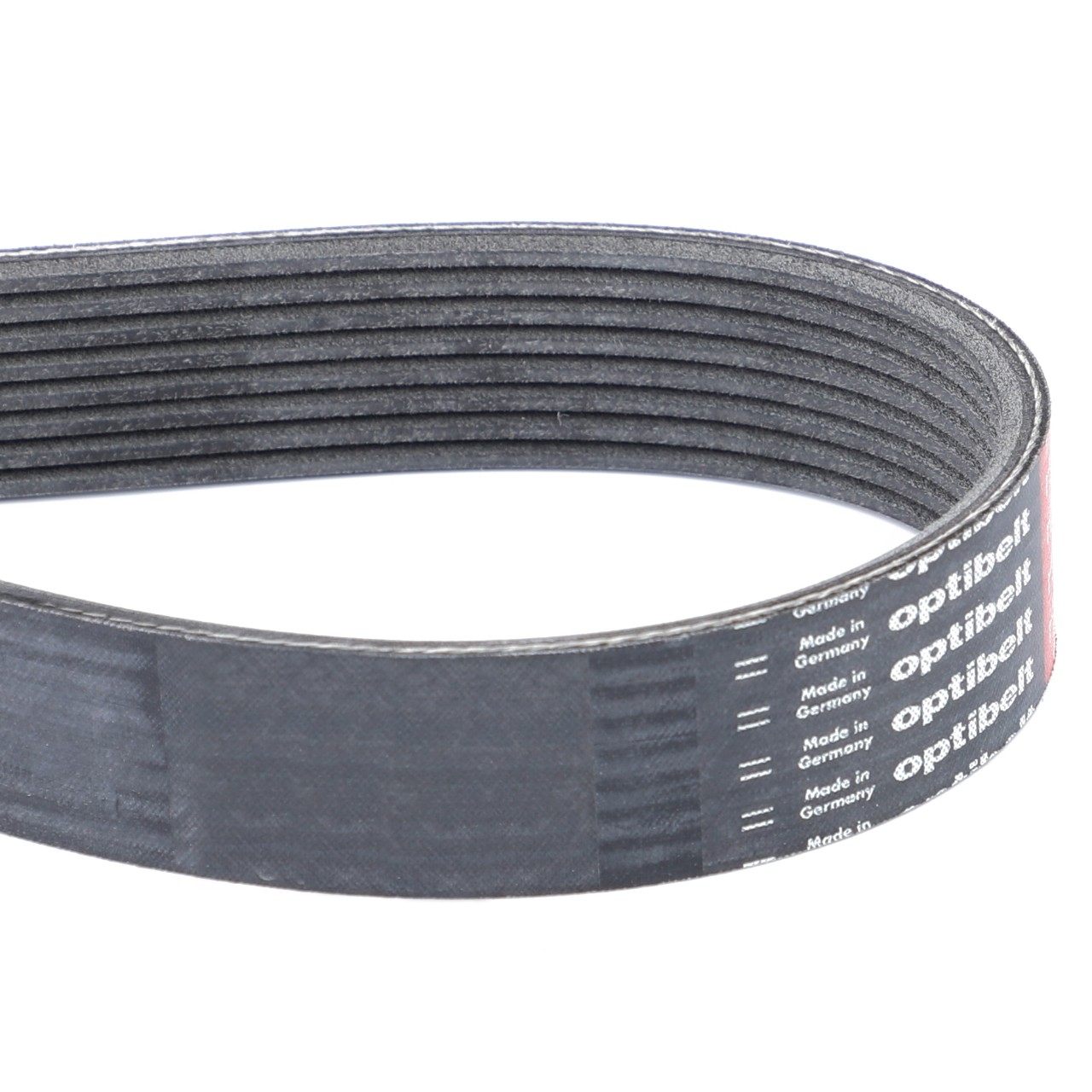 Serpentine Belt, PK8 Profile | AGCO Parts