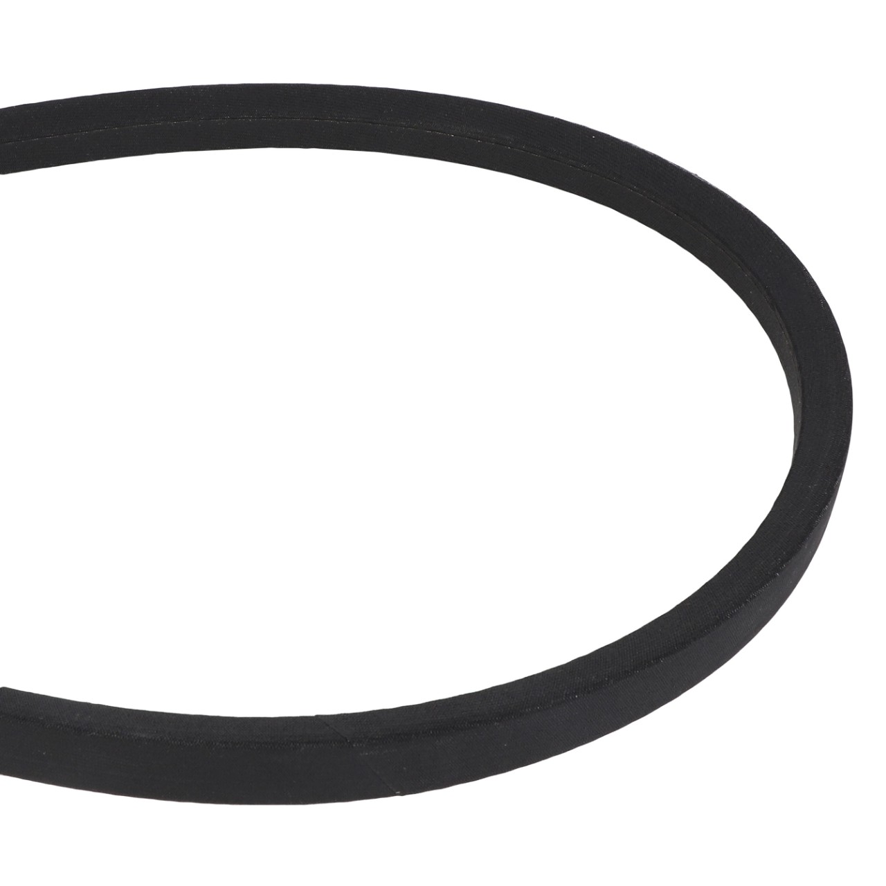 V-BELT | AGCO Parts