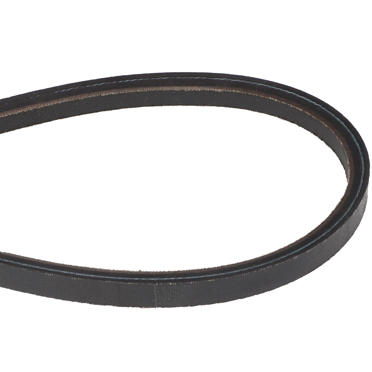 BELT 71352139 | AGCO Parts