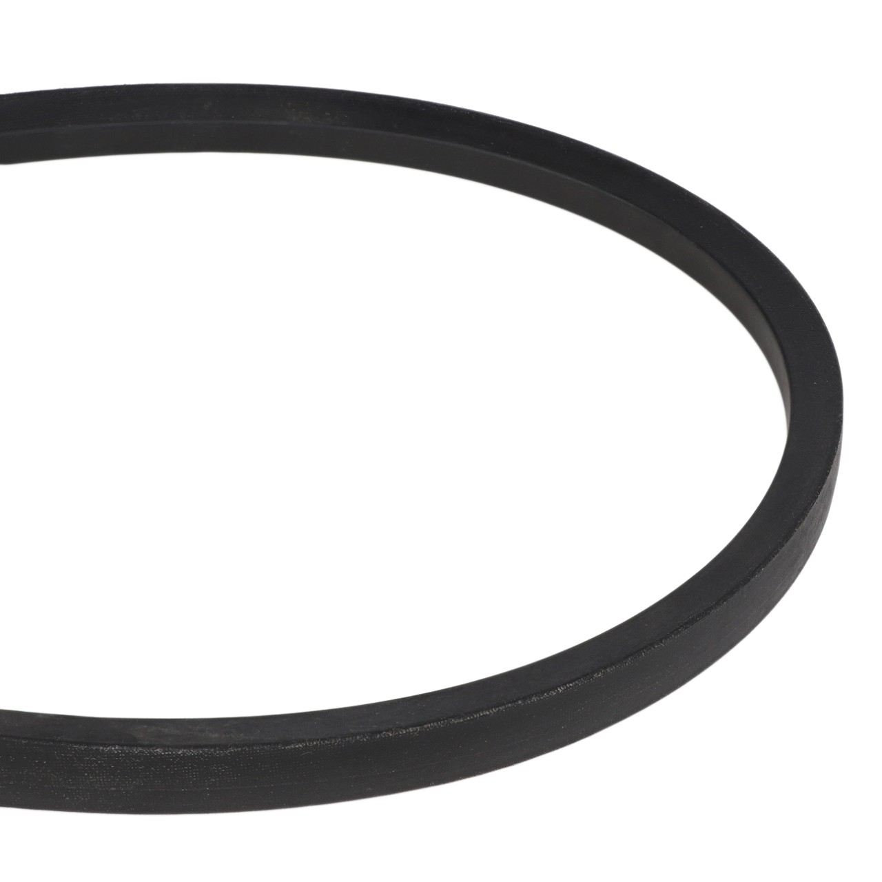 Secondary Chopper Drive Belt, 5430 mm 71388712 | AGCO Parts
