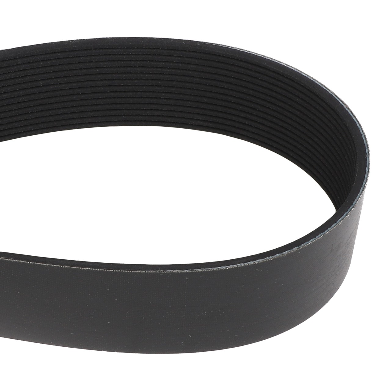 Alternator Belt, 1731 mm 71463133 | AGCO Parts