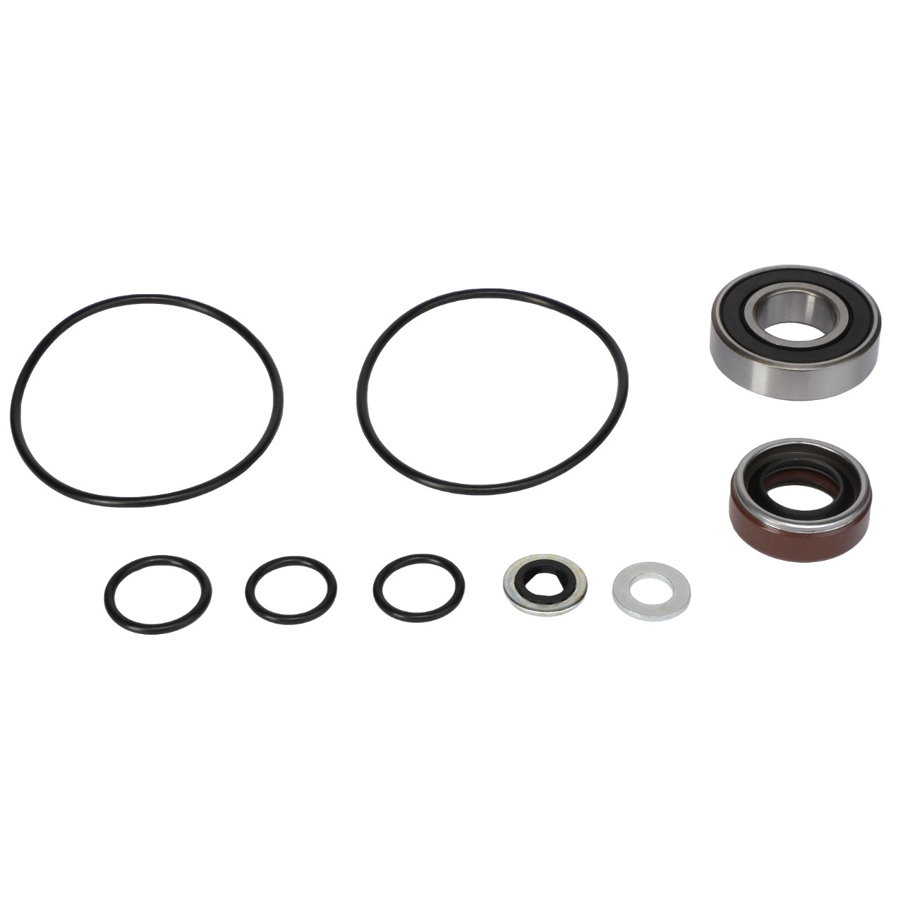 HYDRAULIC MOTOR SEAL KIT ACP0301720 | AGCO Parts