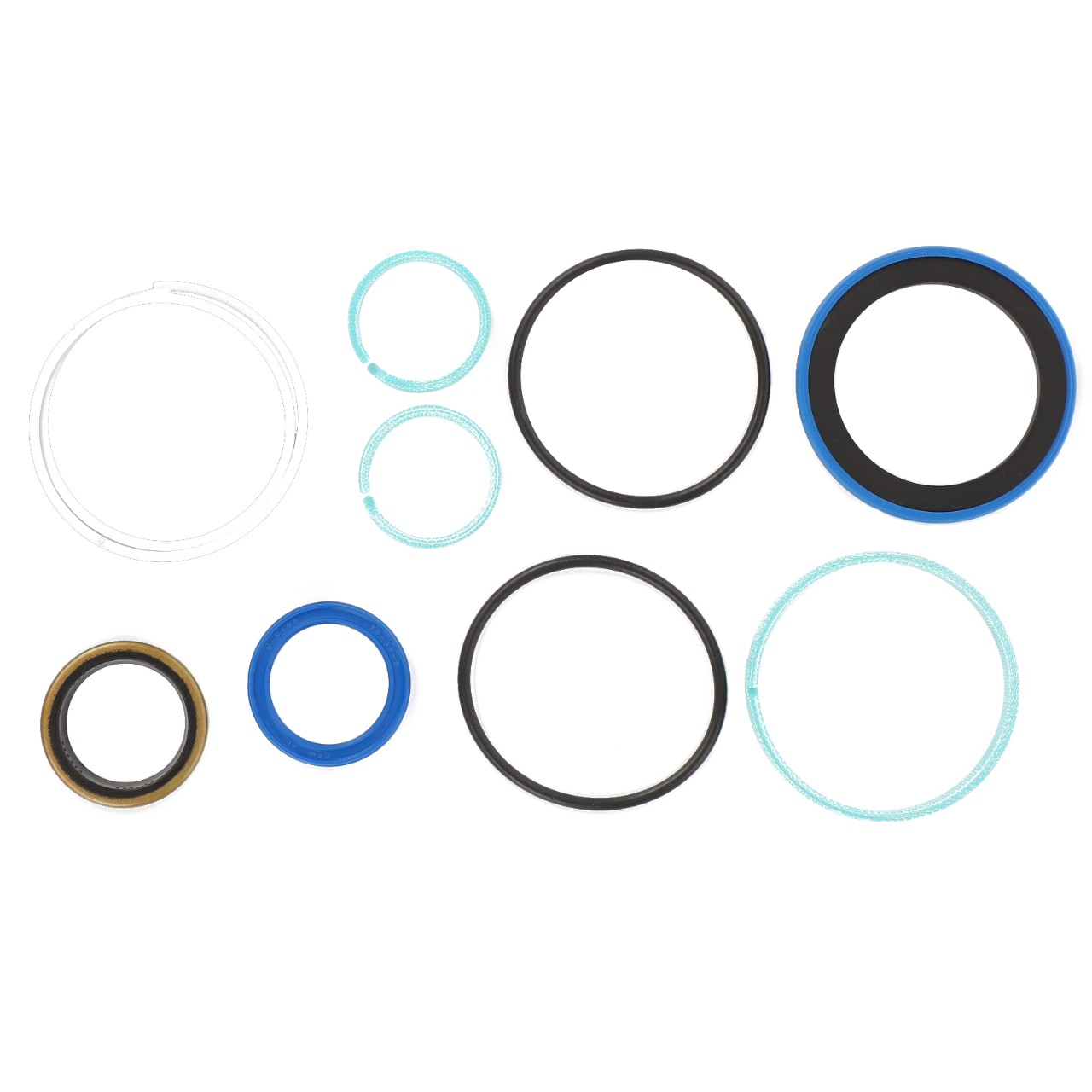 Seal Kit, Hydraulic Cylinder G001990010120 | AGCO Parts