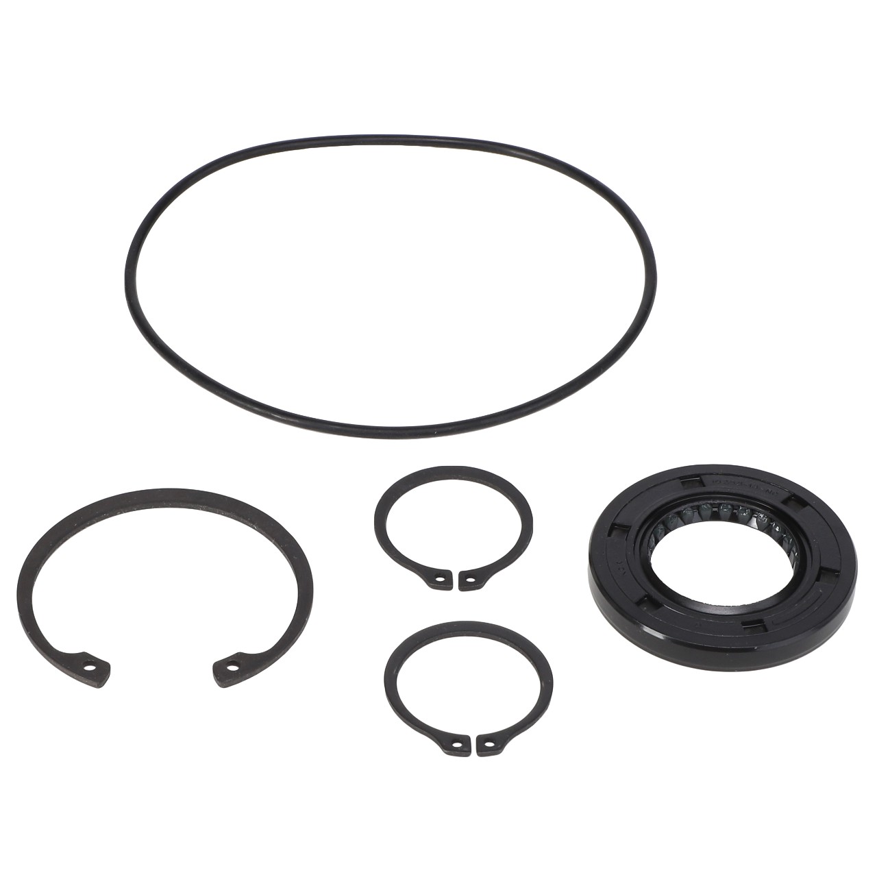 HYDRAULIC MOTOR SEAL KIT WR24097 | AGCO Parts