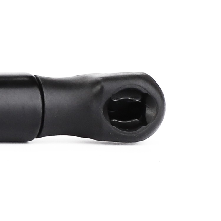Gas Strut, Window | AGCO Parts