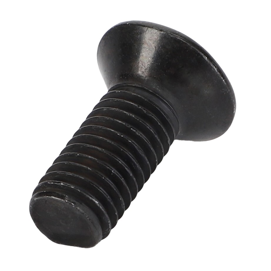 TORX SCREW | AGCO Parts