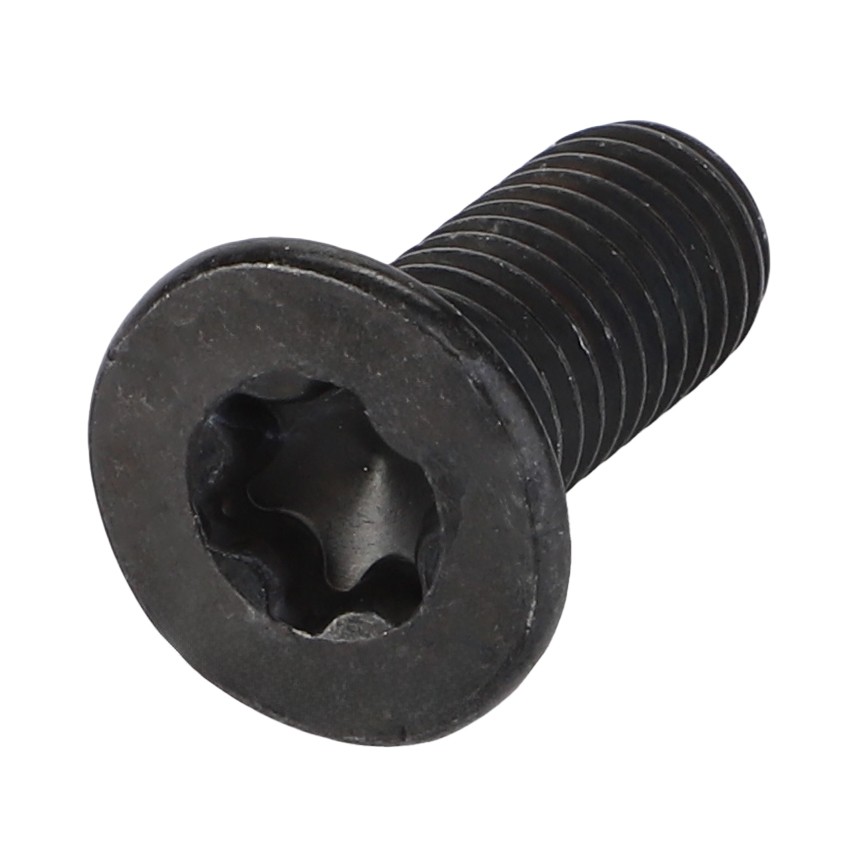 TORX SCREW | AGCO Parts