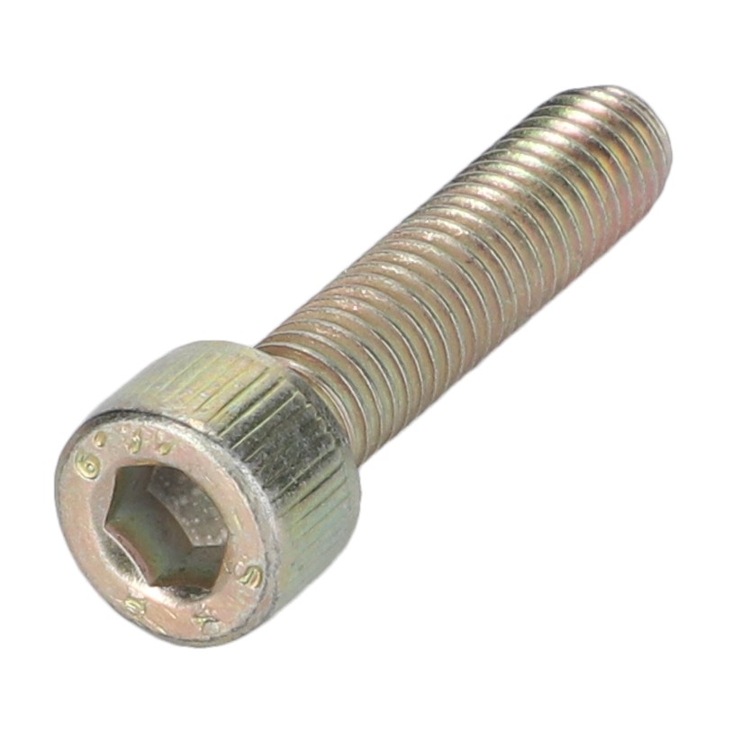 Hex Socket Head Bolt | AGCO Parts