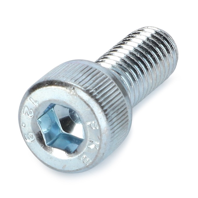 HEX SOCKET HEAD CAPSCREW 391989X1 | AGCO Parts