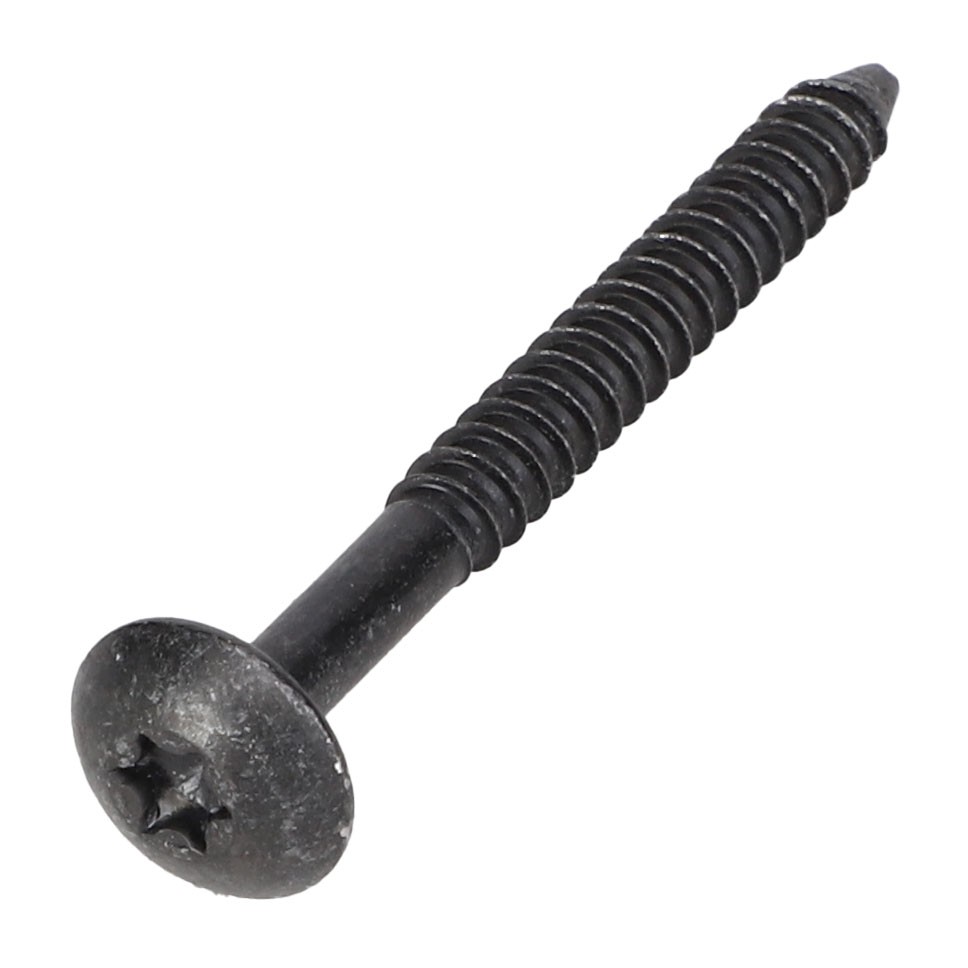 TORX SCREW 700739291 | AGCO Parts