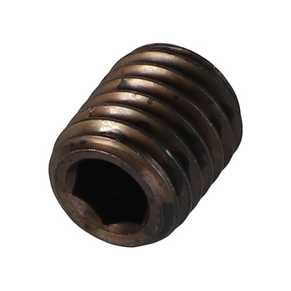 SET SCREW 71480059 | AGCO Parts