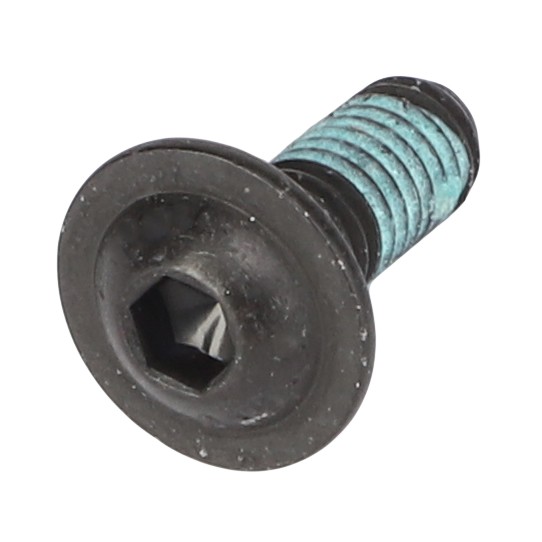 TORX HEAD SCREW | AGCO UKB2B2C Site