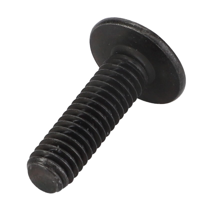 TORX HEAD SCREW | AGCO Parts