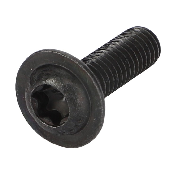TORX HEAD SCREW | AGCO Parts
