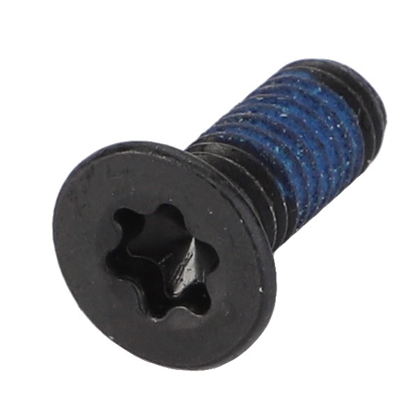 TORX HEAD SCREW ACX2876540 | AGCO Parts
