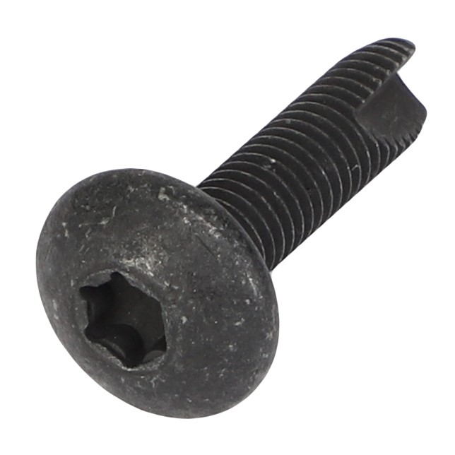 TORX HEAD SCREW CH3E-8020 | AGCO Parts
