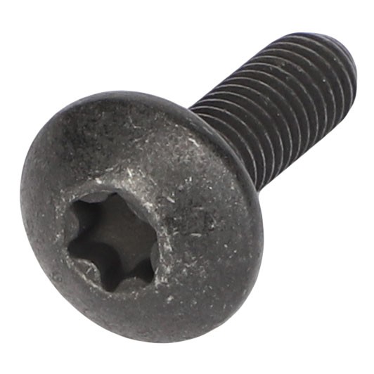 TORX HEAD SCREW CH9X-2045 | AGCO Parts